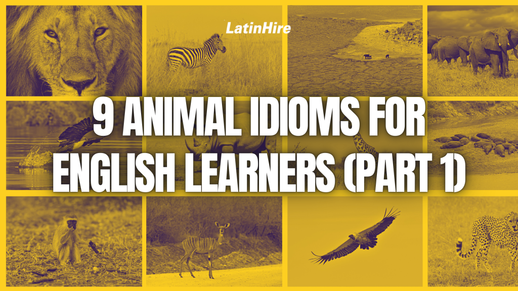 40 Questions for an English Conversation Class • LatinHire Online Tutoring